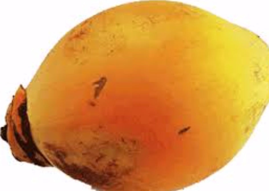 Pipa (Young Coconuts) Unidad – Eco Feria Dominical