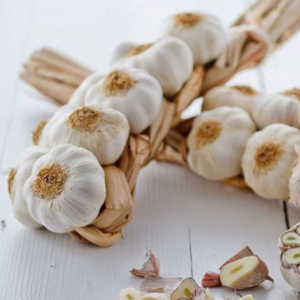 Ajo criollo Del Cerro ( wild garlic ) 100g – Eco Feria Dominical